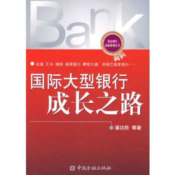 国际大型银行成长之路【正版图书】