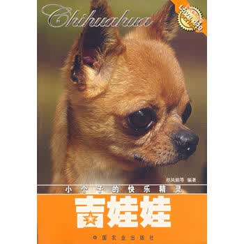吉娃娃