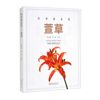 中华母亲花：萱草