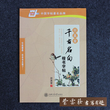 田英章钢笔楷书练字帖成年楷书大小学生行楷行书正楷体临摹 千古名句