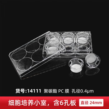 6孔12孔24孔 PC/PET膜细胞小室培养板 transwell 6孔 0.4um 聚碳酸脂PC膜 14111【图片 价格 品牌 报价】-京东