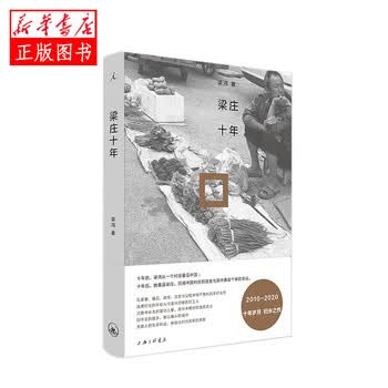 梁庄十年 梁鸿 上海三联书店 新华书店正版图书