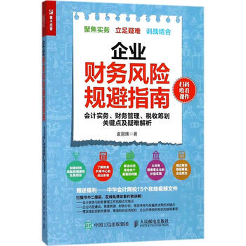 企业财务风险规避指南袁国辉 著 