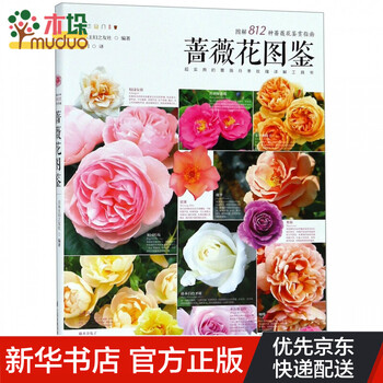 蔷薇花图鉴