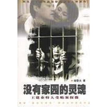 没有家园的灵魂王建业特大受贿案探微 杨黎光 著 中国文联出版社