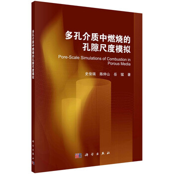 多孔介质中燃烧的孔隙尺度模拟