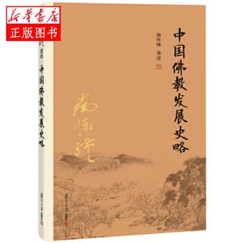 中国佛教发展史略 复旦大学出版社 南怀瑾新华书店正版图书