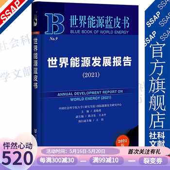 世界能源蓝皮书：世界能源发展报告（2021） 黄晓勇 主编 社科文献出版社