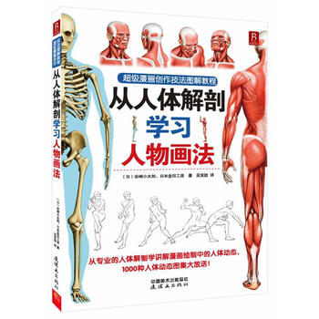 从人体解剖学习人物画法