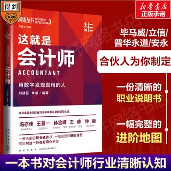 这就是会计师 图书