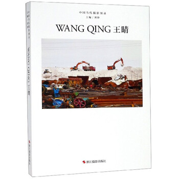 王晴(精)/中国当代摄影图录
