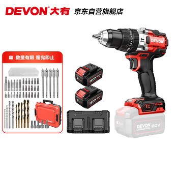 【大有5201/5202】大有（Devon）大有锂电无刷冲击钻工业级硬装螺丝刀5202冲击钻5.0双电双头充【行情 报价 价格 评测】-京东