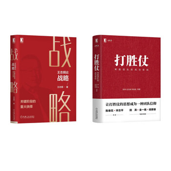 打胜仗+王志纲论战略（京东套装共2册）