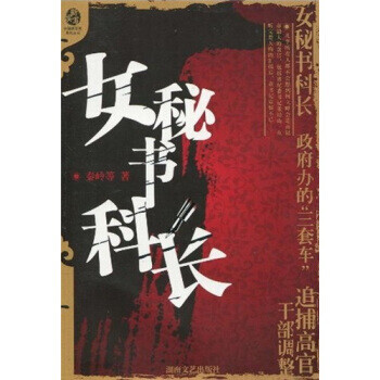 女秘书科长 秦岭,金在胜,等 著