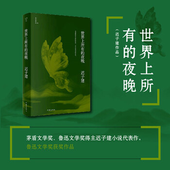 世界上所有的夜晚（迟子建作品）
