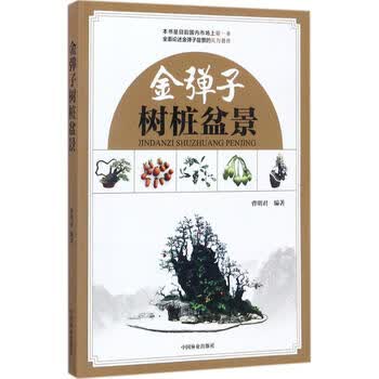 金弹子树桩盆景