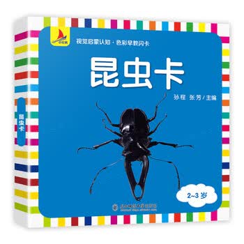 蓝鲸图书专营新书幼儿早教卡 视觉启蒙认知色彩激发闪卡 【2-3岁】昆虫卡