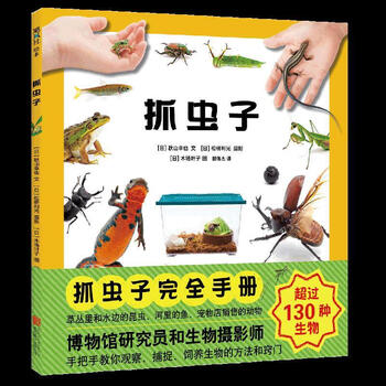 抓虫子