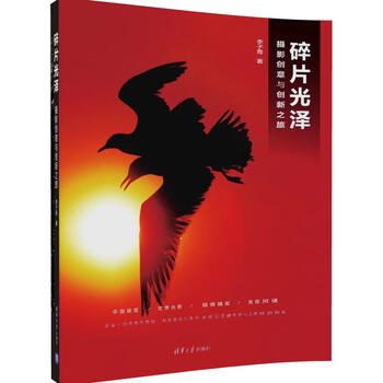 [正版图书] 碎片光泽 李子青 清华大学出版社 9787302460602