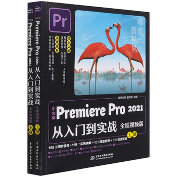 中文版Premiere Pro2021从入门到实战(全程视频版上下)