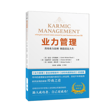 业力管理（*）善用业力法则 创造富足人生； *商业书《能断金刚》续篇