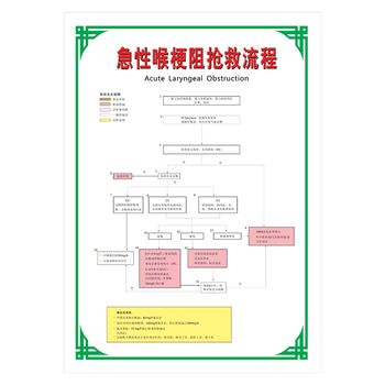 医院制度急救程序挂图过敏性休克抢救流程图示意图墙贴纸WSB169 WSB169-22 40*60cm  PP覆膜贴纸