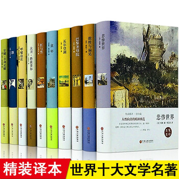 世界十大名著套装正版全10册外国文学小说系列 巴黎圣母院飘童年红与黑呼啸山庄悲惨世界大卫科波菲尔等