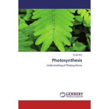 Photosynthesis