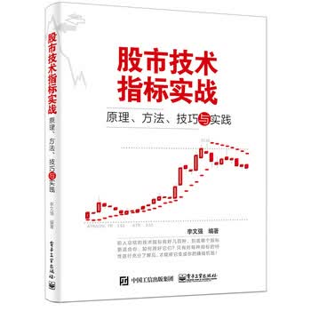 股市技术指标实战:原理、方法、技巧与实践