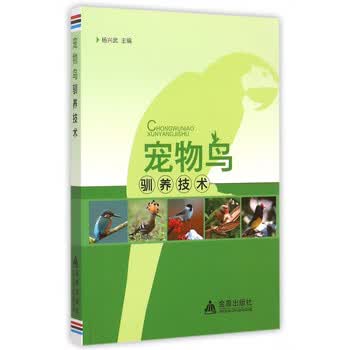 宠物鸟驯养技术