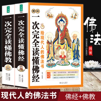 全2册 图解一次完全读懂佛教+佛经 学佛经佛学佛教入门基础知识 金刚经心经坛经楞严经学禅宗论无量寿经