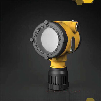 EXSAF特安ES2000T点型可燃气体报警器有毒气体探测器DT燃气探头 ES2000T()【图片 价格 品牌 报价】-京东