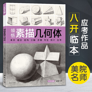 美学大师领悟素描几何体书籍 八开临摹范本 素描起步入门基础教程对画照片写生技法画册集美院联考美术