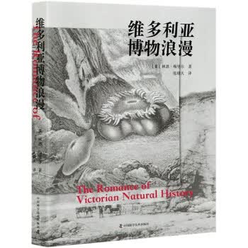 维多利亚博物浪漫 (美)林恩·梅里尔