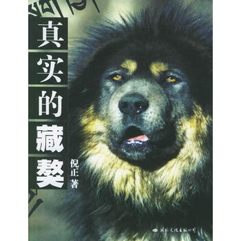 真实的藏獒 倪正 著