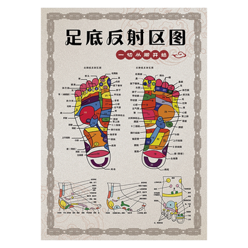 中医养生按摩国家标准足穴挂图脚底足部反射区宣穴位图传画WSA WSA18-04 足底反射区图 60x80cm  PP覆膜贴纸