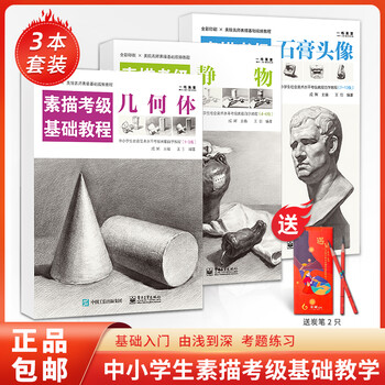 中小学生社会美术考级实例练习铅笔画手绘素描基础教程临摹速写书美术教材高考艺考考级画册基础书入门教程 静物