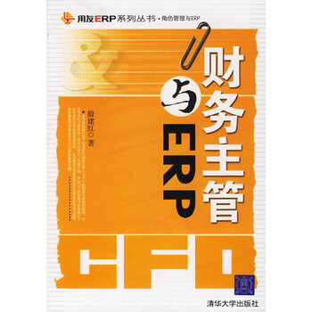 财务总监与ERP【正版图书】