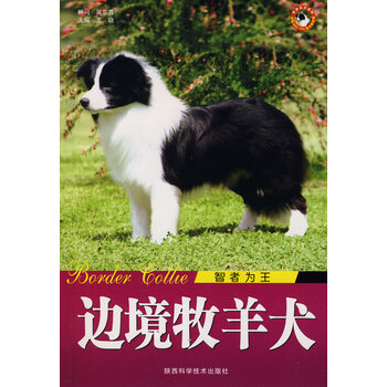 边境牧羊犬智者为王【正版图书】