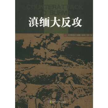 滇缅大反攻9787533644536