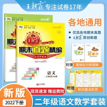 王朝霞期末试卷精编一二三年级下册郑州信息版人教版试卷四五六年级语文数学专项训练期末冲刺100分冲刺期末总复习 二年级语文+数学（人教版）精编