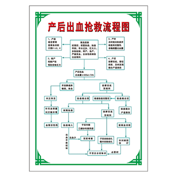 医院制度急救程序挂图过敏性休克抢救流程图示意图墙贴纸WSB169 WSB169-37 70*100cm  PP覆膜贴纸