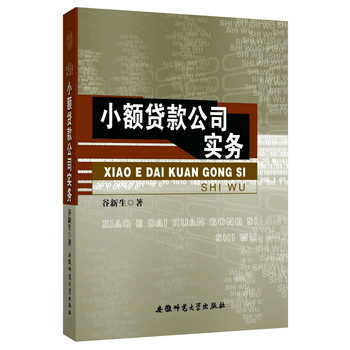 小额贷款公司实务
