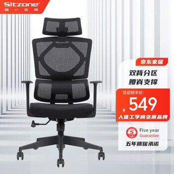 【精一DS-367】Sitzone/精一 人体工学椅电脑椅子 撑腰办公椅电竞椅 家用书房学生学习椅 靠背座椅会议椅老板椅 DS-367黑色【行情 报价 价格 评测】-京东