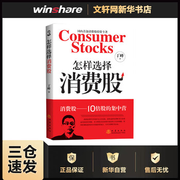 怎样选择消费股 丁峰  书籍