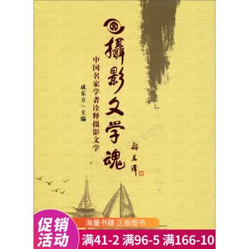 摄影文学魂：中国名家学者诠释摄影文学