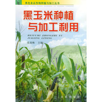 黑玉米种植与加工利用