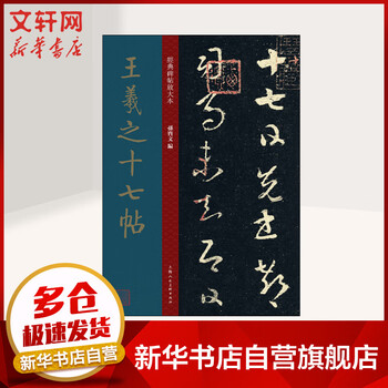 王羲之十七帖 经典碑帖放大本 草书临摹范本 孙宝文编 上海人民美术出版社