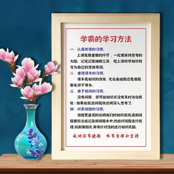 努力的意义 书房挂画中高考加油礼物励志字画摆件书法座右铭实木相框挂墙画框UTK UTK18学霸的学习方法习惯 A3(挂墙专用)