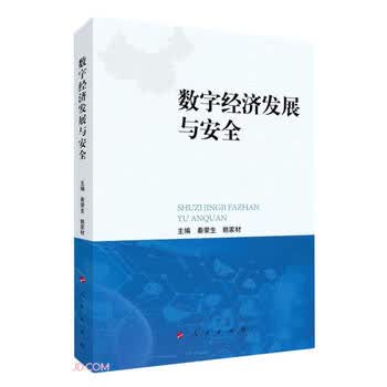 数字经济发展与安全